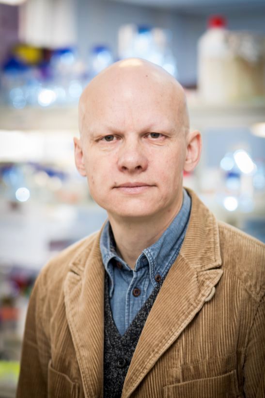 Medical University of Gdańsk: Champions of life science at the MUG